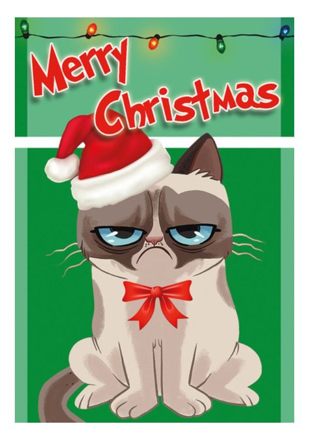 Christmas Is Coming? Oh Goody. | Allison Maruska